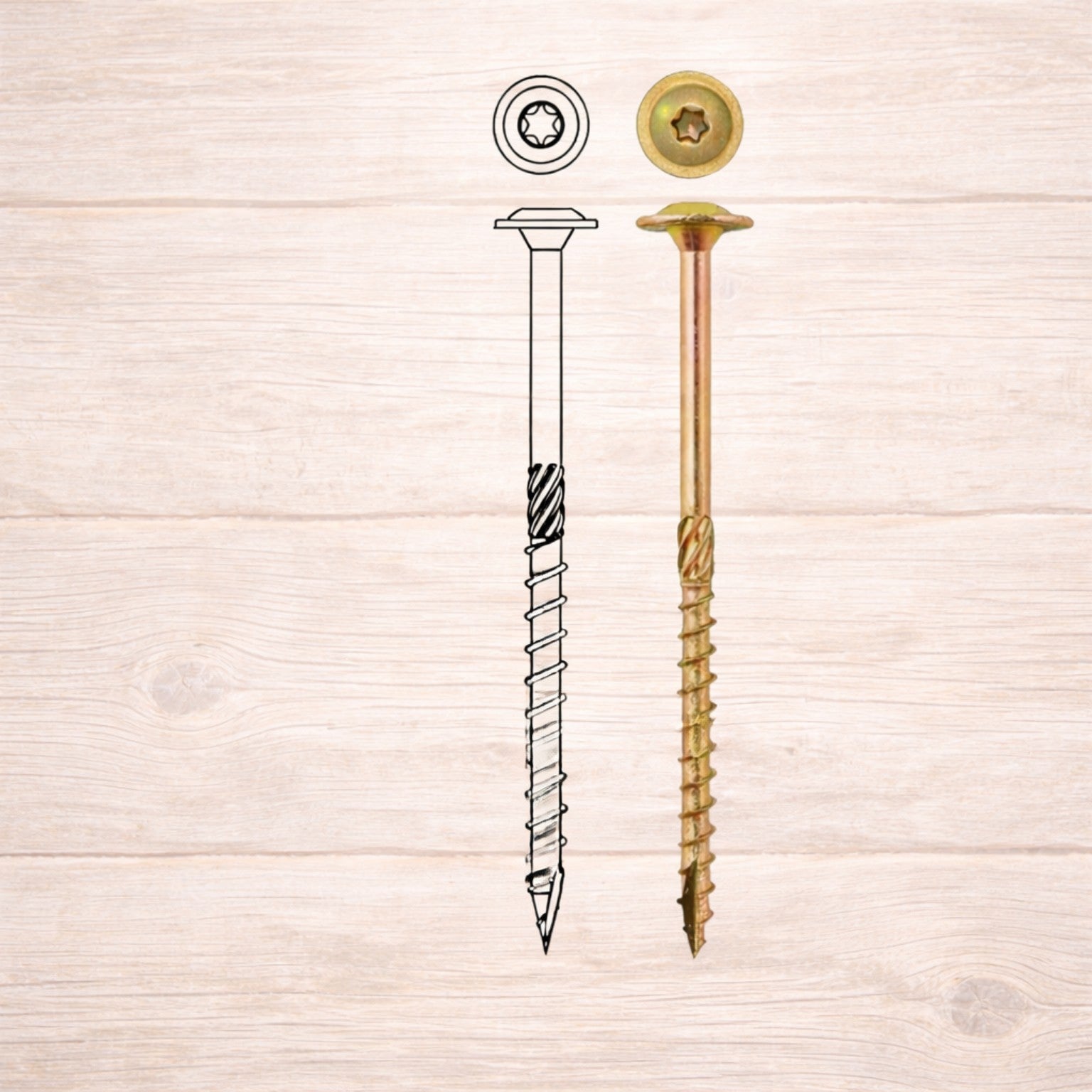 Suruburi dulgher TORX pentru lemn cap plat – BhBSafety